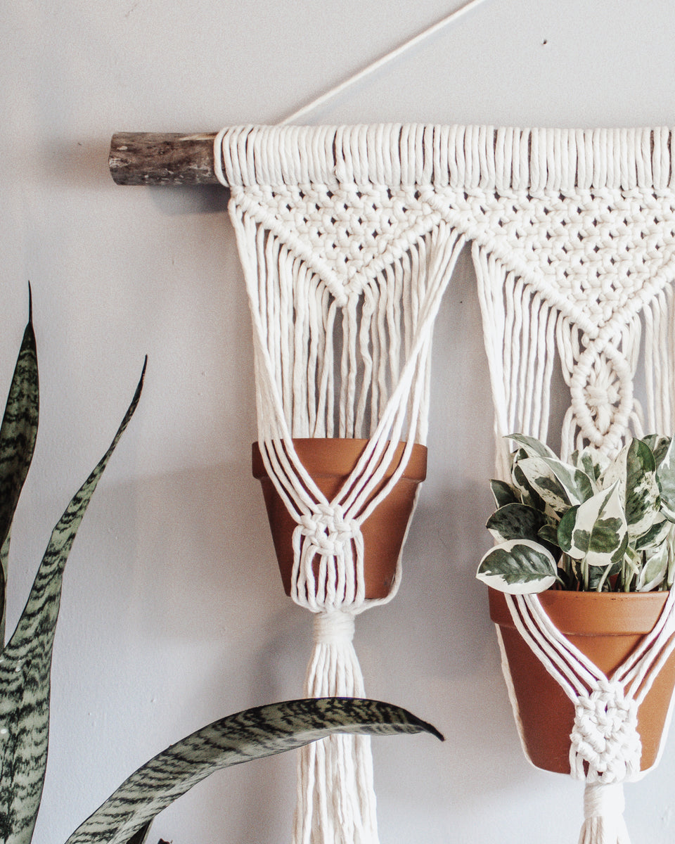 Triple Plant Hanger Boho Classic White Macrame on Driftwood Recycled ...